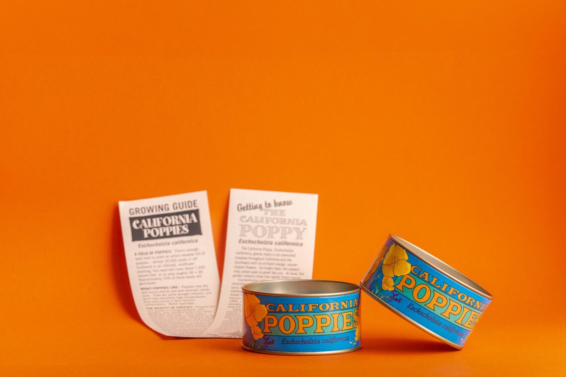 California Poppy | Flower Seed Grow Kit | the Jonsteen Company - Etsy