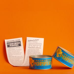 California Poppy | Flower Seed Grow Kit | the Jonsteen Company - Etsy