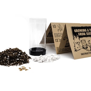 Giant Sequoia | Tree Seed Grow Kit | the Jonsteen Company - Etsy