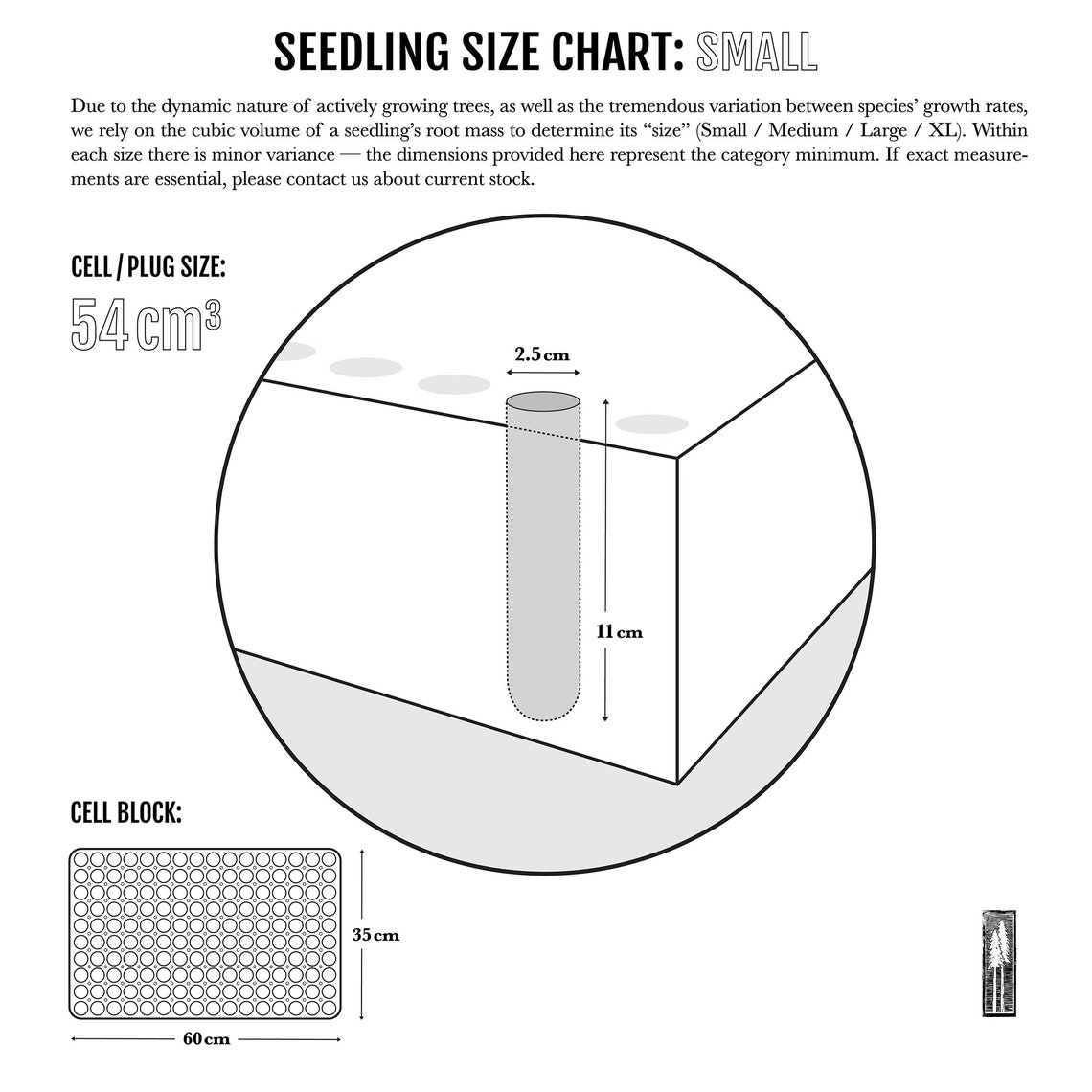 Bonsai Tree Bundle Collection of 5 Tree Seedlings the - Etsy