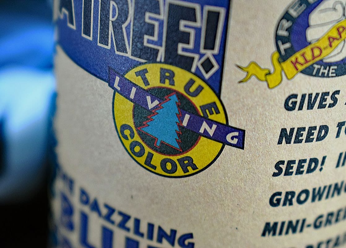 Colorado Blue Spruce Tree Seed Grow Kit The Jonsteen | Etsy