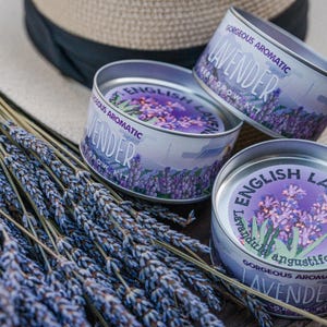 Lavender | Flower Seed Grow Kit | the Jonsteen Company - Etsy