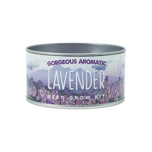 Lavender | Flower Seed Grow Kit | the Jonsteen Company - Etsy