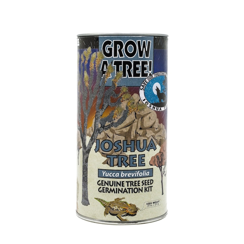 Joshua Tree | Seed Grow Kit | the Jonsteen Company - Etsy