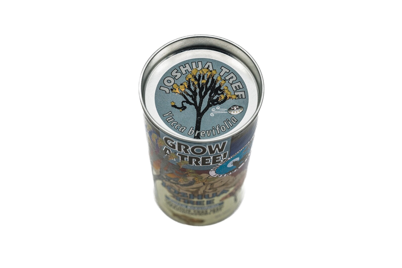 Joshua Tree | Seed Grow Kit | the Jonsteen Company - Etsy