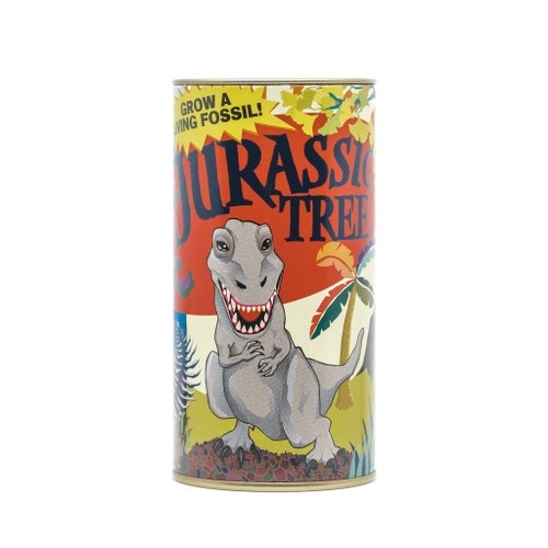 Red Maple Tree Seed Grow Kit the Jonsteen Company - Etsy