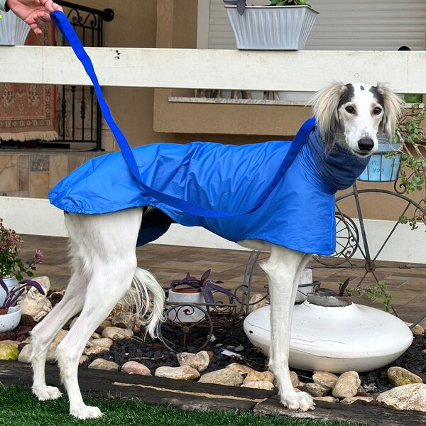 Sighthound Coat - Etsy