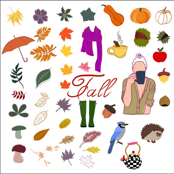 Cute Fall Clipart Set Digital Elements Fall Bird - Etsy