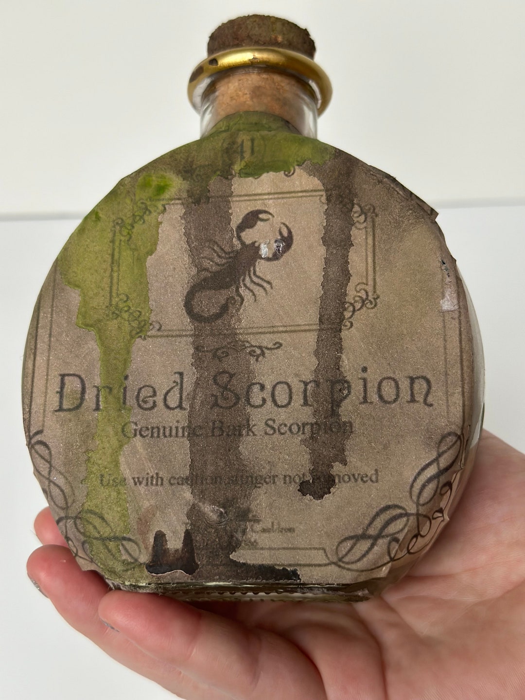Dried Scorpion, Decor, Magic Potion Glass Bottle Prop, Collectible ...