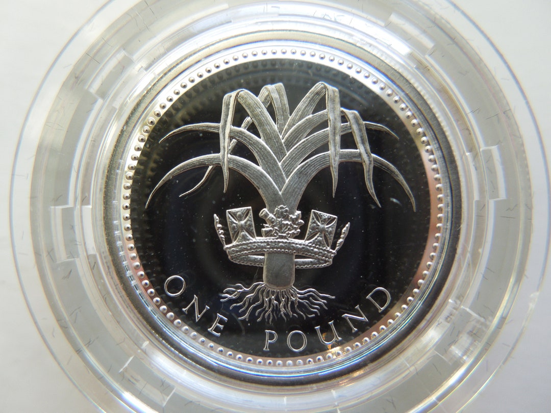 British Silver Proof 1 Pound Coin, Wales / Welsh Leek, 1990, Last One ...