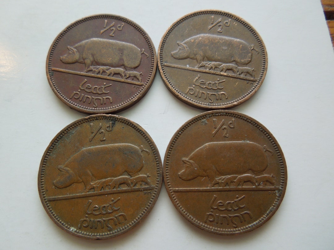 Irish Half Penny, 1966, Pigs Reverse, Eire Coins, Republic of Ireland ...