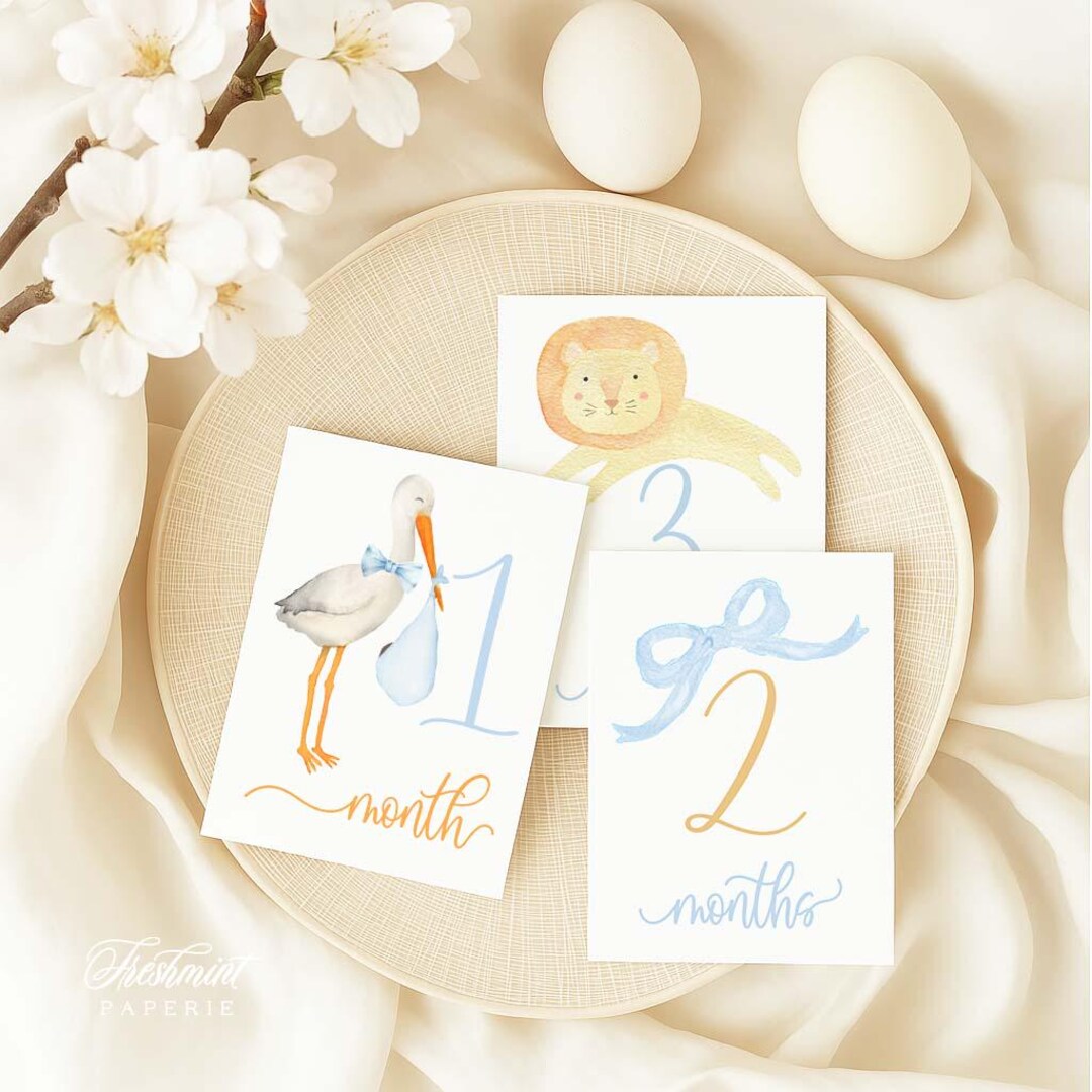 Milestone Cards, Monthly Milestone Cards, Baby Shower Gift, Newborn ...