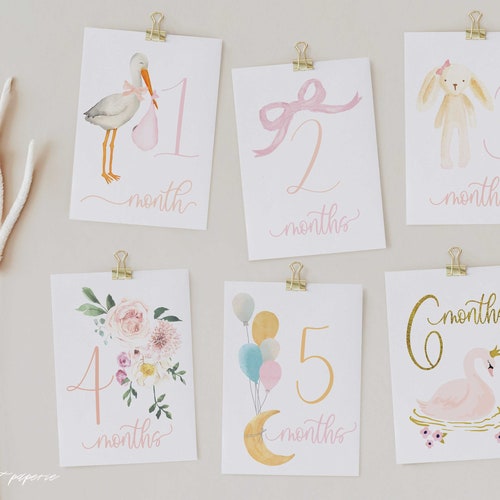 14 Baby Milestone Month DIY Cards Printable Baby Shower Gift - Etsy