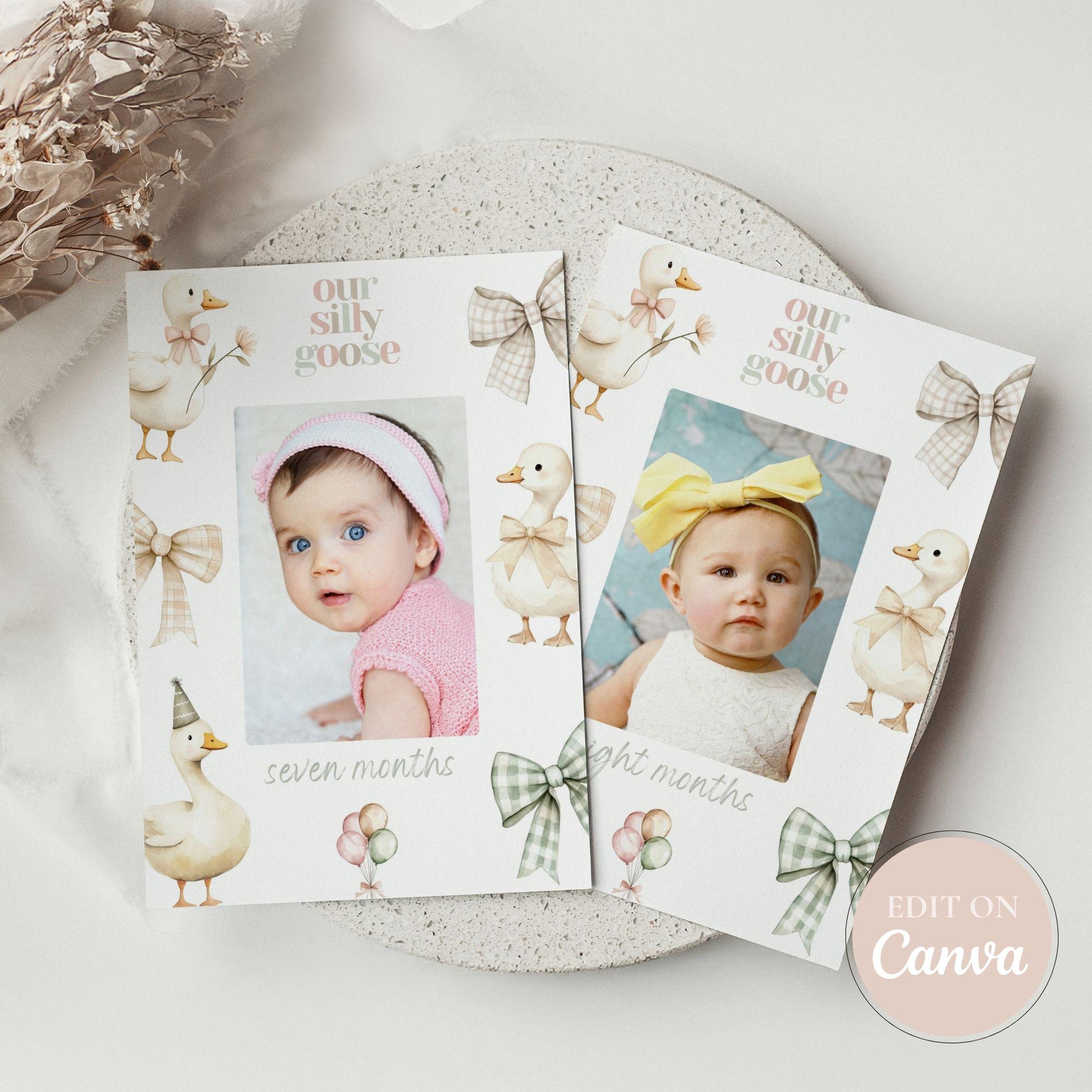 Silly Goose 1st Birthday Photo Banner: Monthly Milestone Printable ...