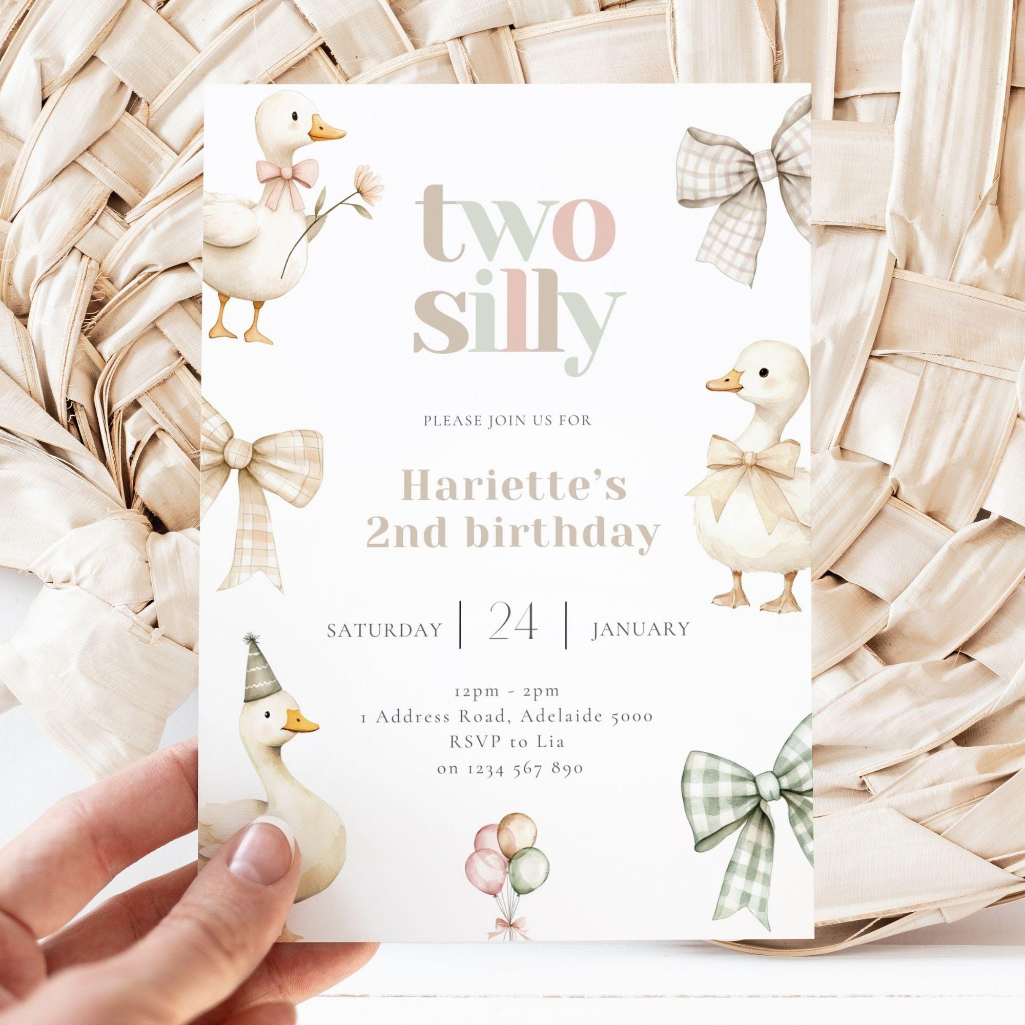 Two Silly 2nd Birthday Invitation 2nd Birthday Silly Goose Party Theme ...