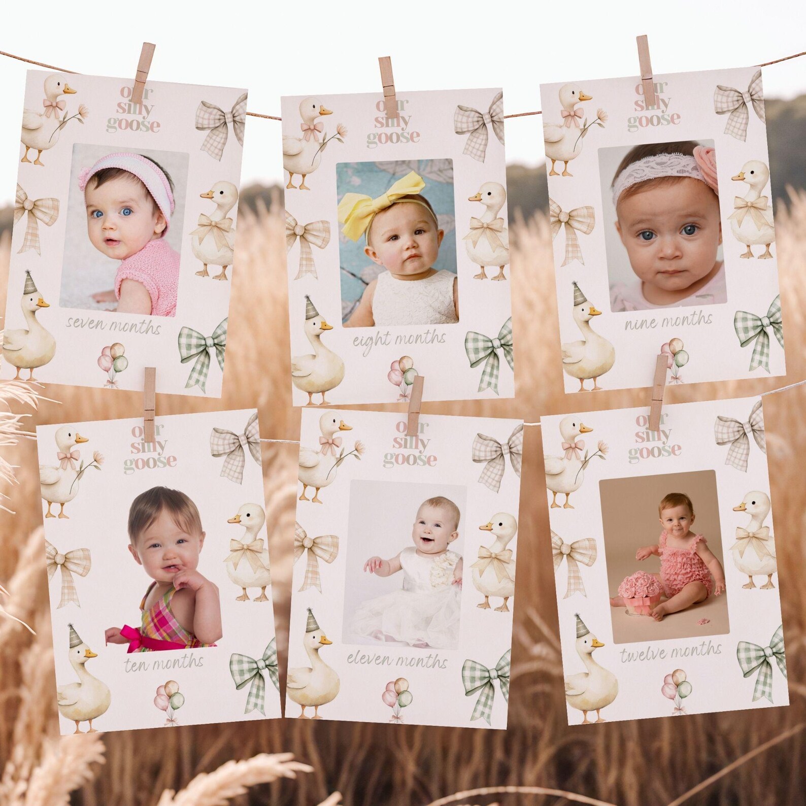 Silly Goose 1st Birthday Photo Banner: Monthly Milestone Printable ...