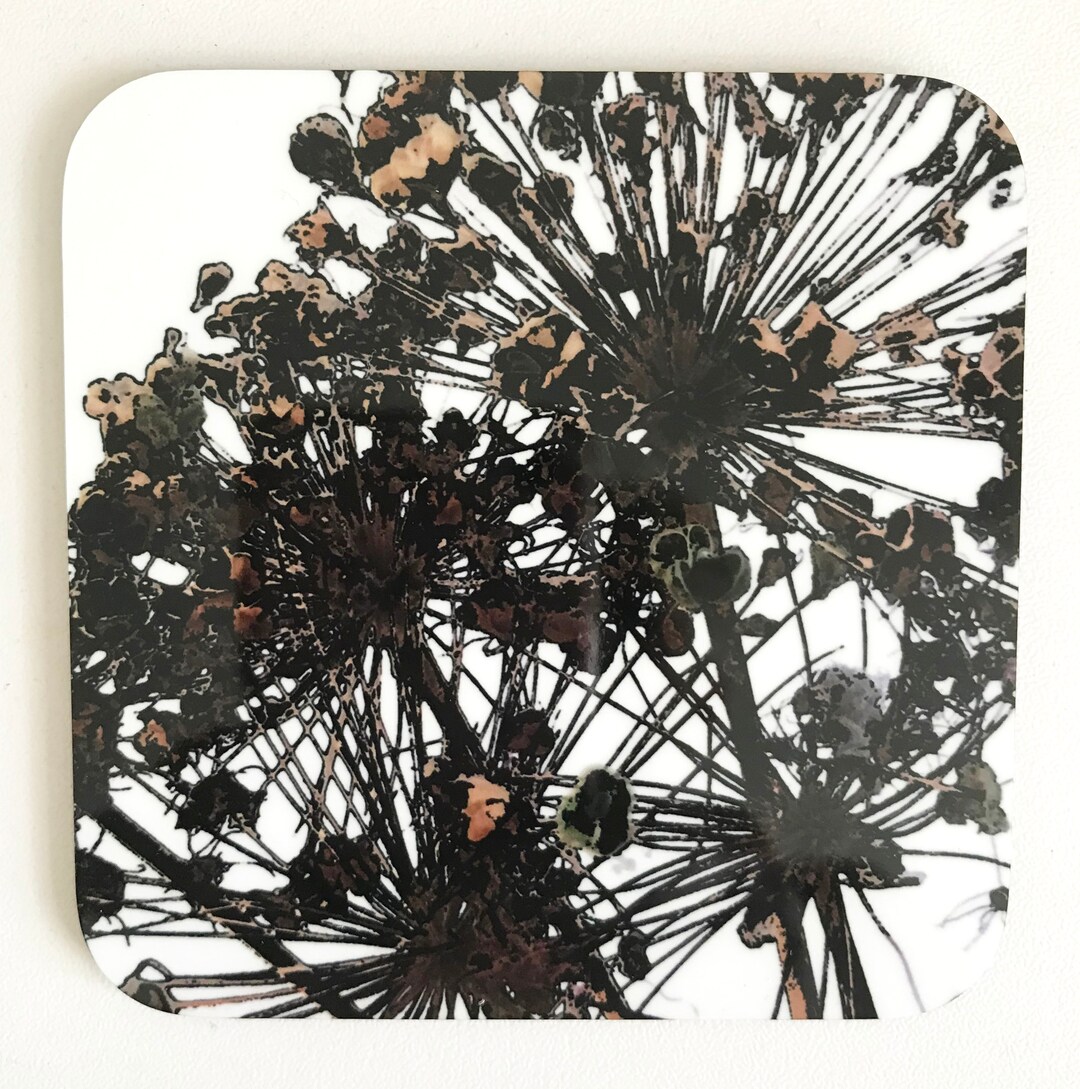 Allium Seedheads Square Coaster Brown Black Grey and White Drinks ...