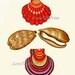 Red Seashells Wall Art Print Set of 9 Beautiful Sea Shell - Etsy