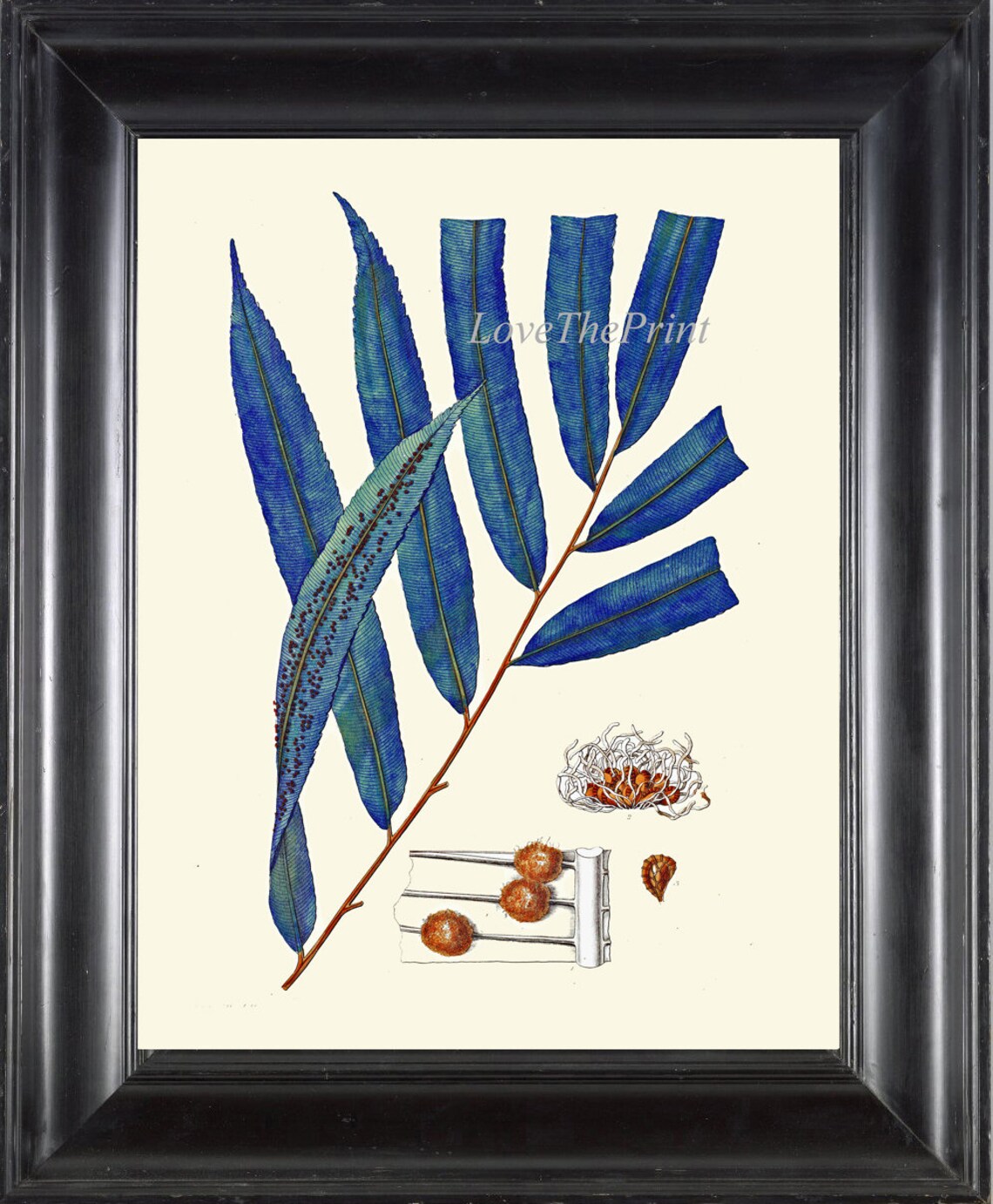 Blue Fern Botanical Wall Art Print HWB138 Antique Beautiful - Etsy