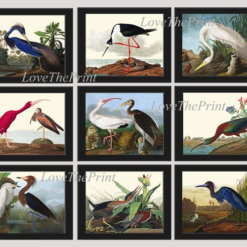 Birds Print Set of 2 Large Scale Wall Art Decor Vintage Bird | Etsy