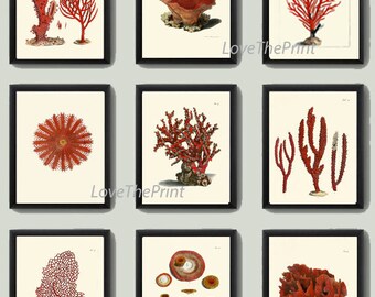 Red Coral Print - Etsy