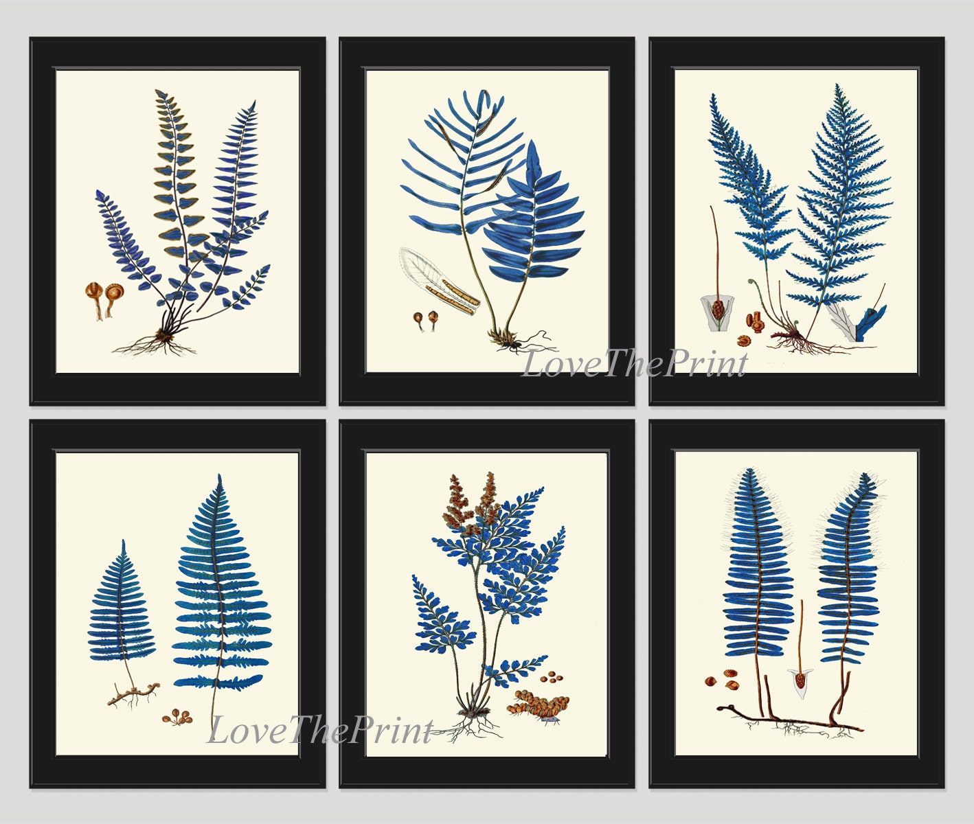 Blue Fern BOTANICAL Print SET of 6 Art Prints Beautiful Indigo | Etsy