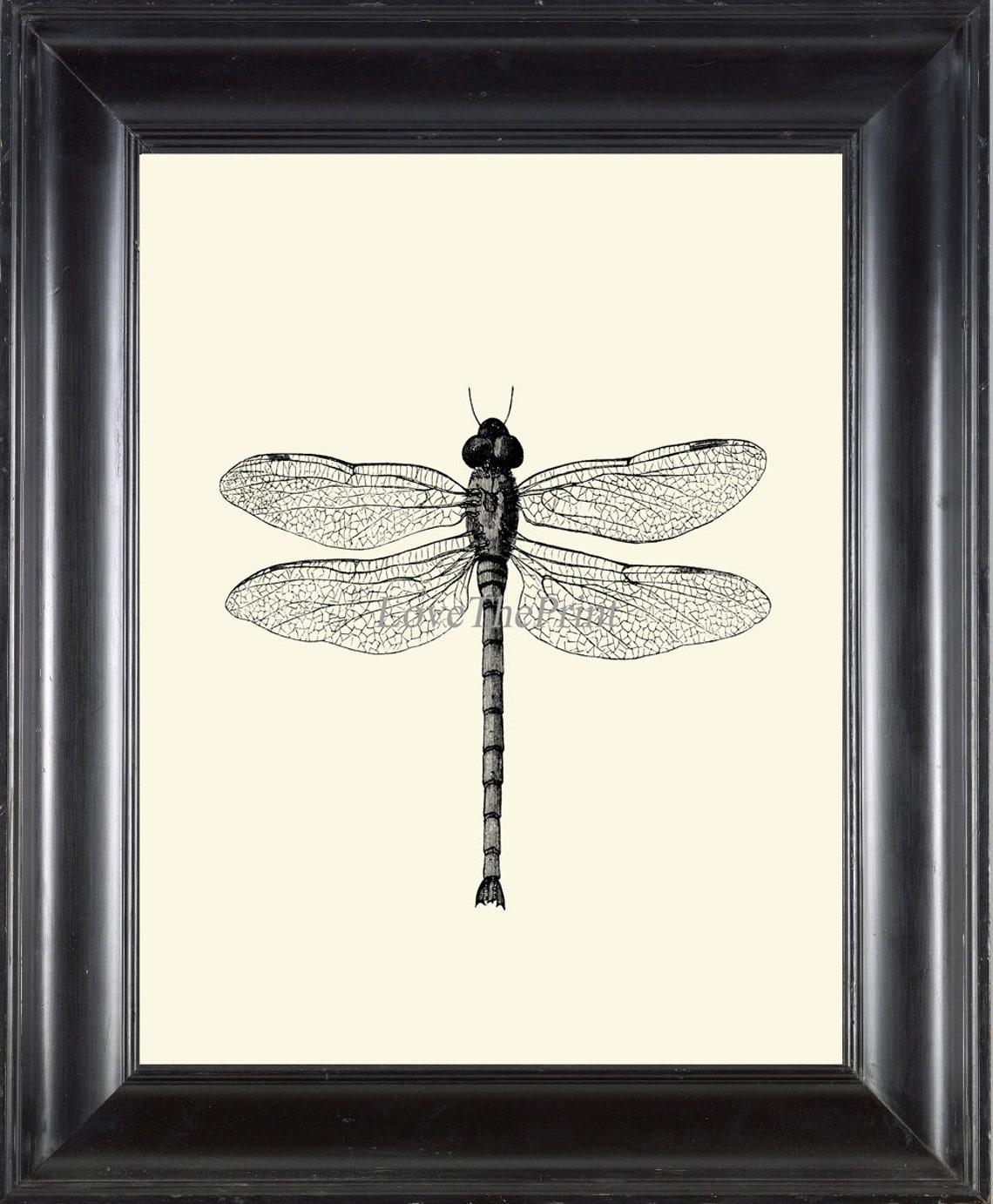 Dragonfly Print Wall Art PR3 Beautiful Insect Vintage Black - Etsy