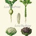 Herb Vegetable Garden Art Print HJ10 Botanical Antique Beautiful ...