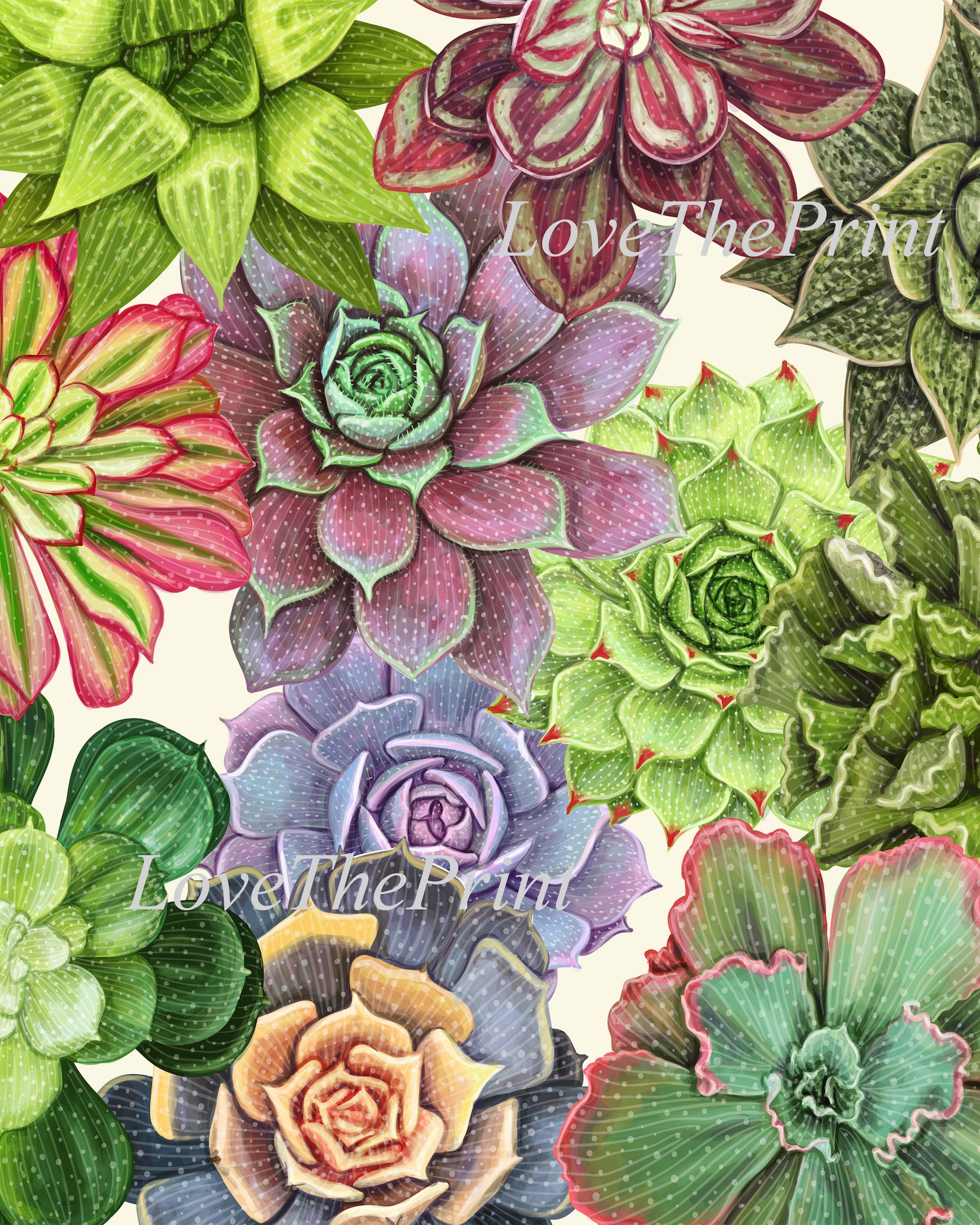 Succulent Wall Art Print Set of 4 Prints Beautiful Colorful | Etsy