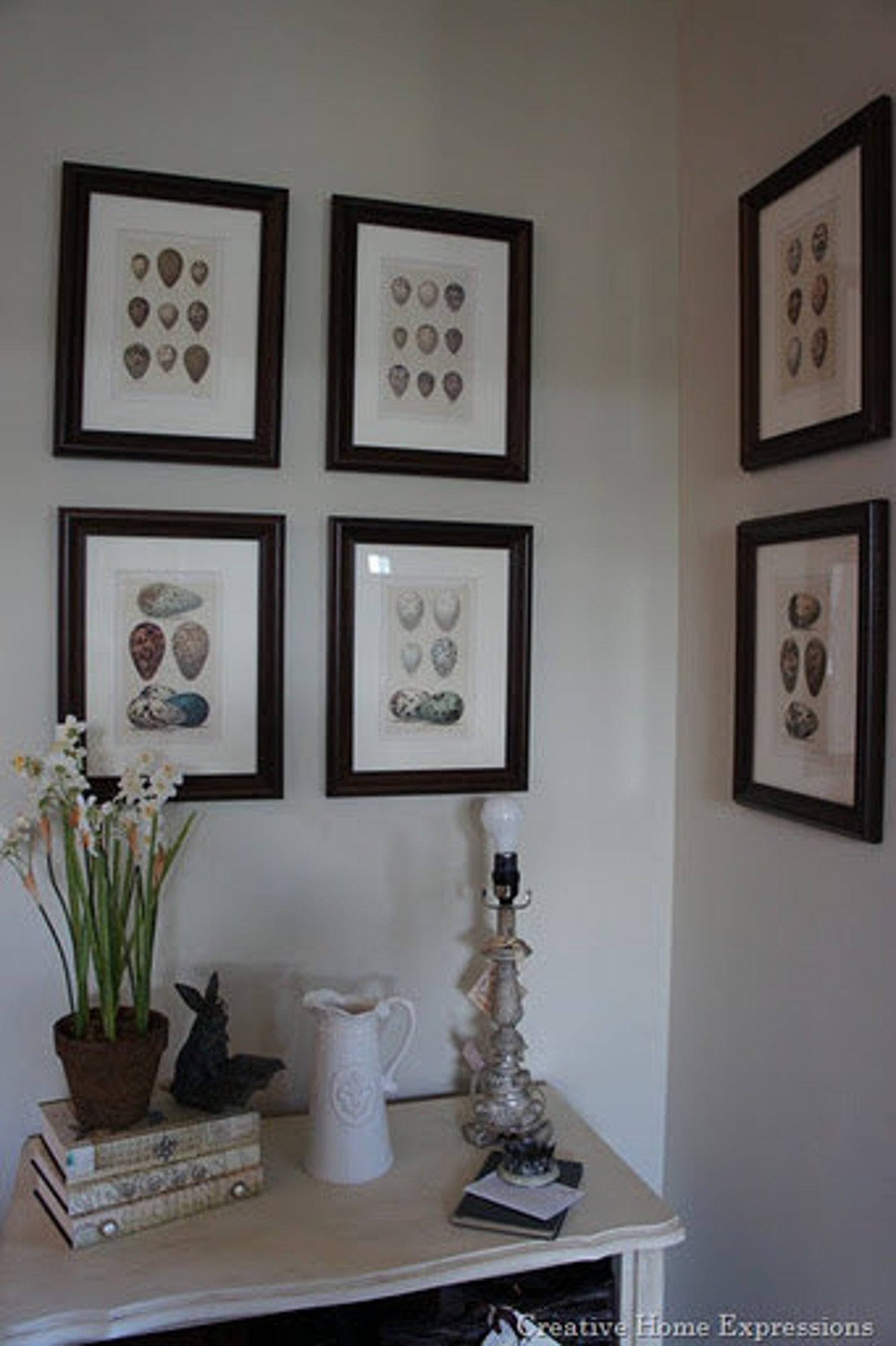 Bird Eggs Wall Art Print C4 Beautiful Antique Bird Eggs Aqua Etsy