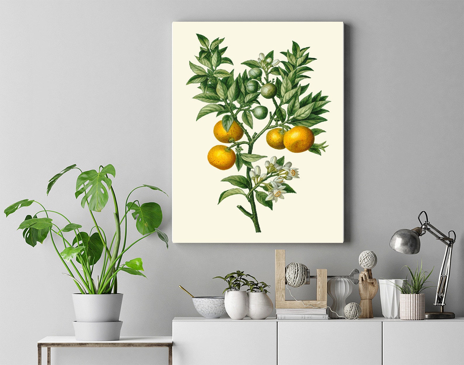 Orange Tree Botanical Wall Art Set of 2 Prints Beautiful | Etsy