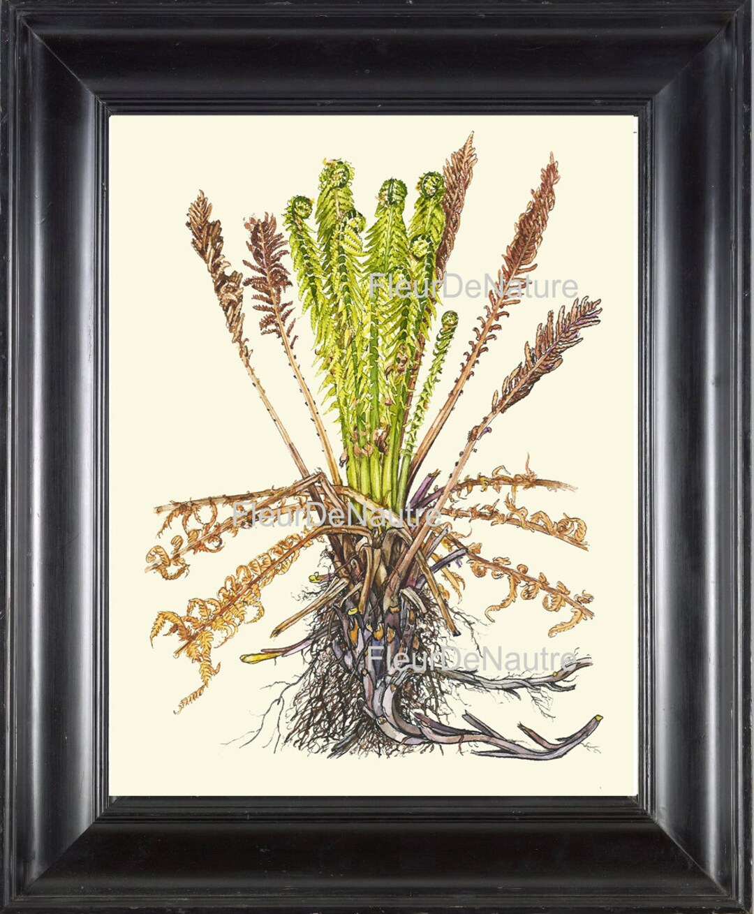 Antique Fern Art Print 18 Lindman Botanical Antique Beautiful Green ...