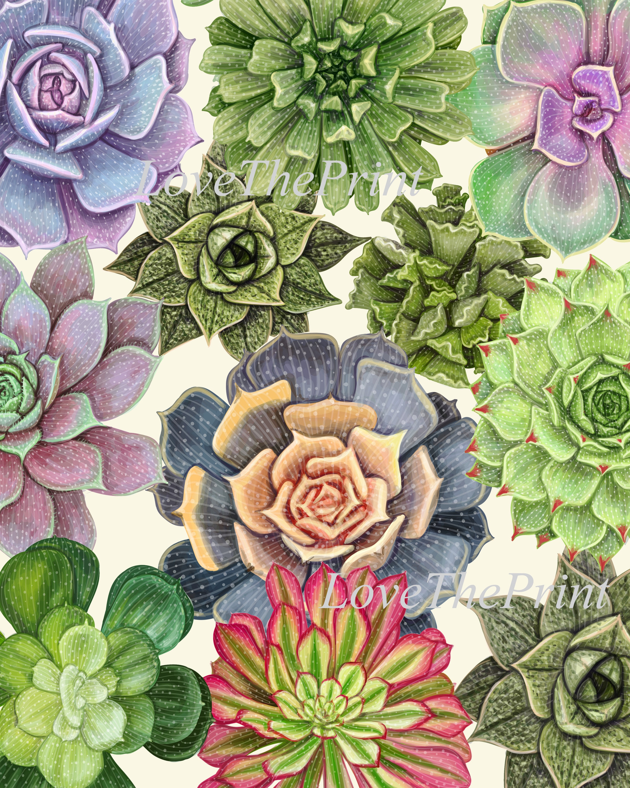 Succulent Wall Art Print Set of 4 Prints Beautiful Colorful | Etsy