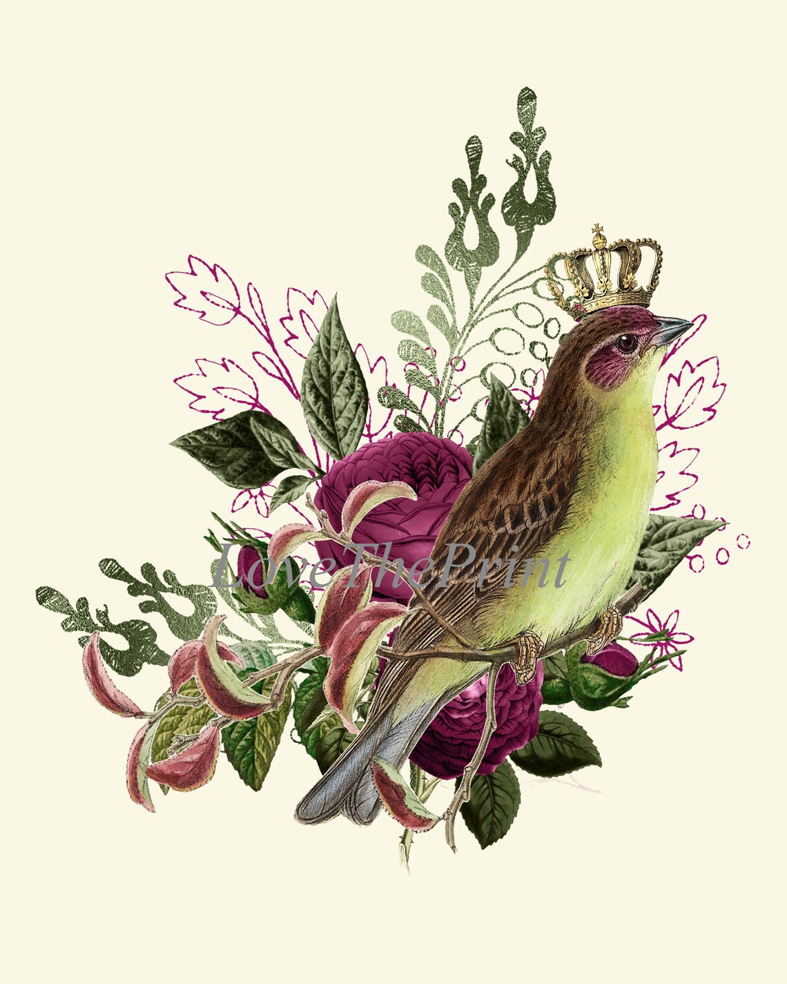 Royal Crown Bird Wall Art Print SET of 3 Prints Beautiful - Etsy