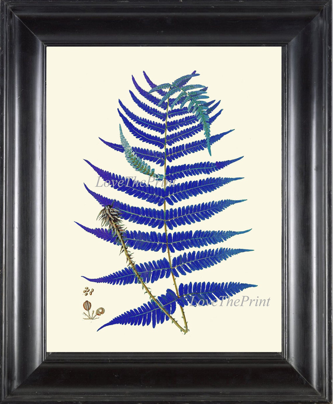 Blue Fern Botanical Art Print HWB139 Antique Beautiful Ferns | Etsy