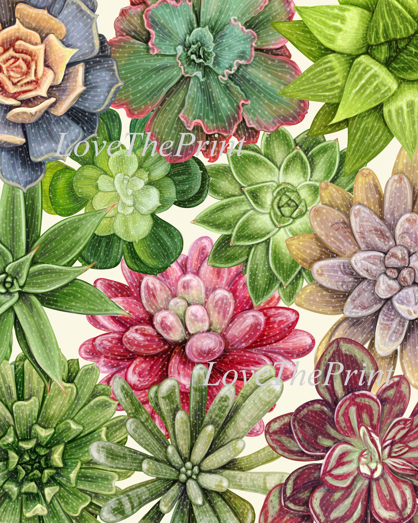 Succulent Wall Art Print Set of 4 Prints Beautiful Colorful | Etsy