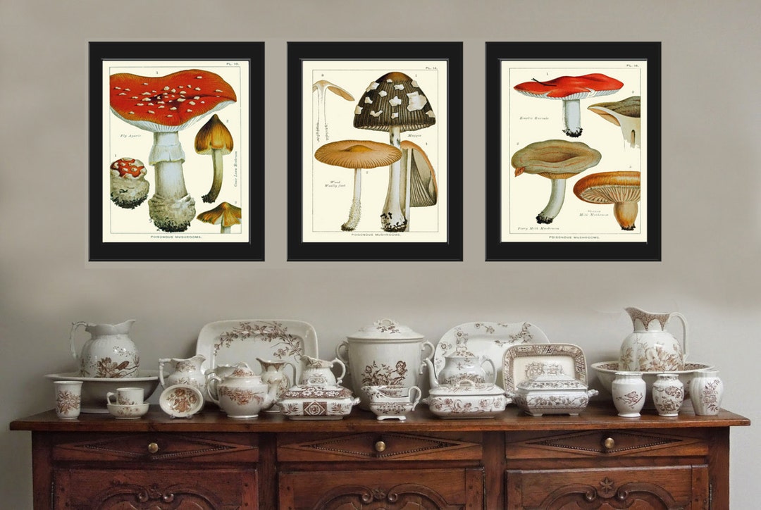 Vintage Mushroom Wall Decornull