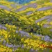Marc A. Graison California Impressionist Plein Air Oil Painting ...
