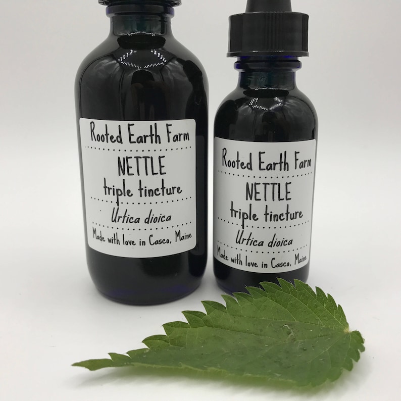 Nettle Tincture Organic Nettle Extract Herbal Nutrition | Etsy