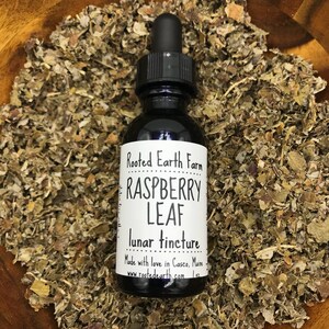 Red Raspberry Leaf Tincture, Raspberry Tincture, Red Raspberry Extract ...