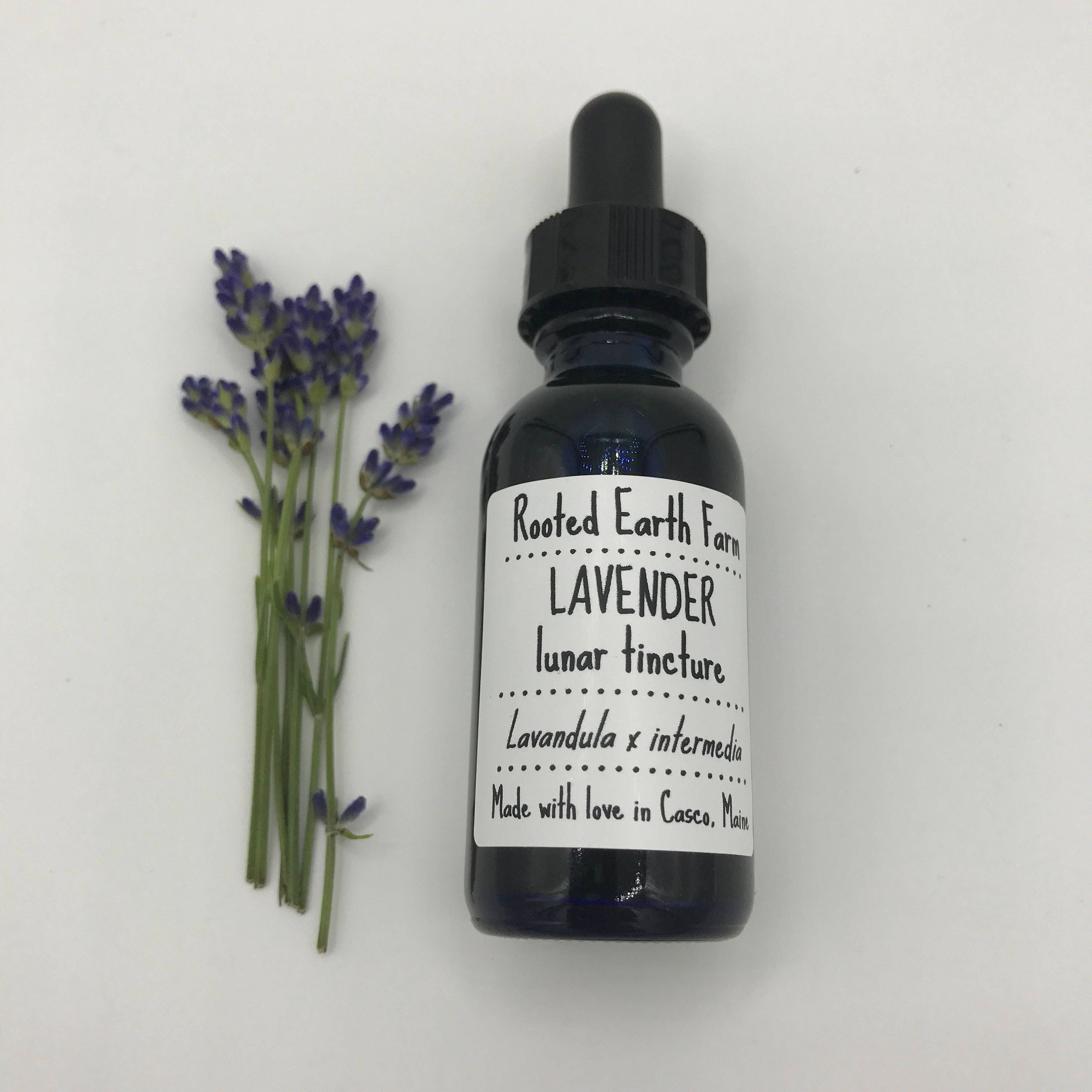 Lavender Tincture Organic Lavender Extract Lavender Flower | Etsy