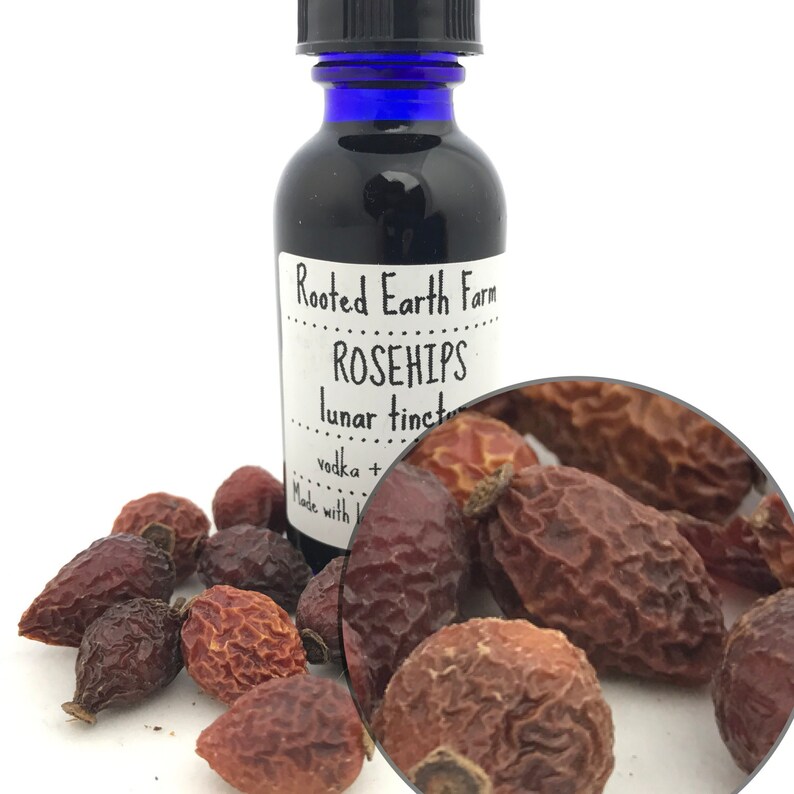 Rose Hip Tincture Rose Hips Extract Rosehip Extract - Etsy