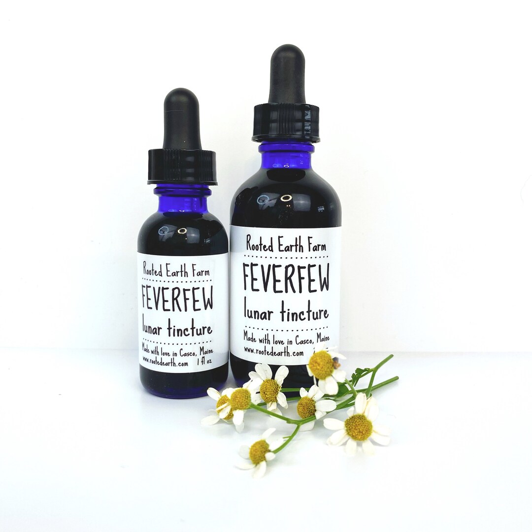 Feverfew Tincture, Organic Feverfew Extract, Herbal Tincture, Herbal ...