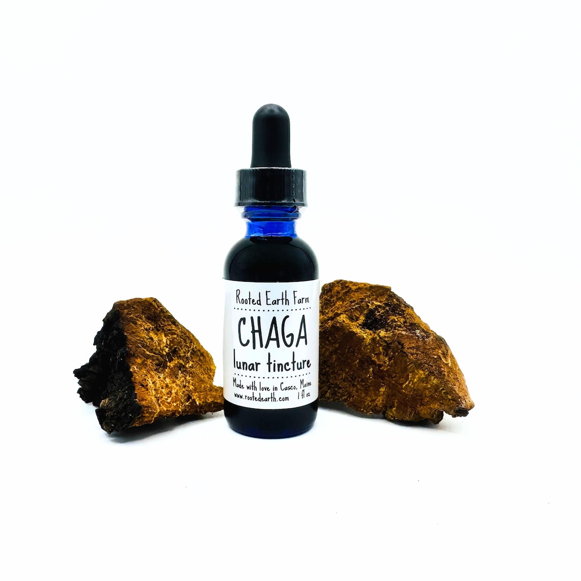 Wildcrafted Chaga Mushroom Tincture, Chaga Mushroom Extract, Maine ...
