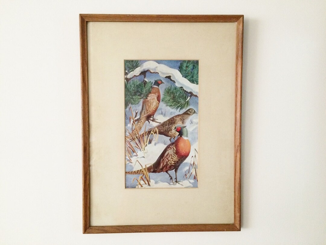 Vintage Fred Finley 'pheasants in the Snow'art Print 1940's Framed ...