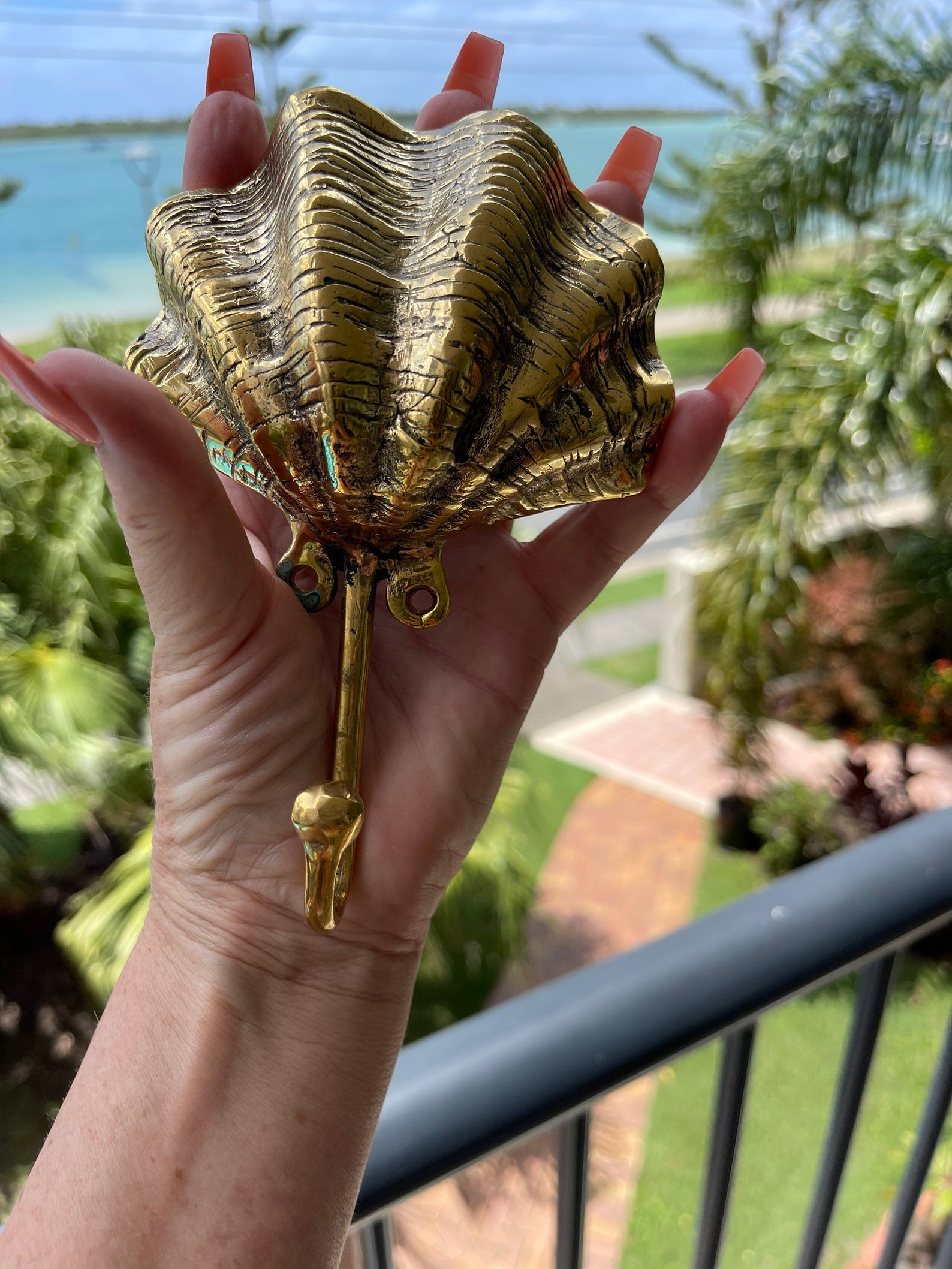 Clam Shell Hooks Brass - Etsy