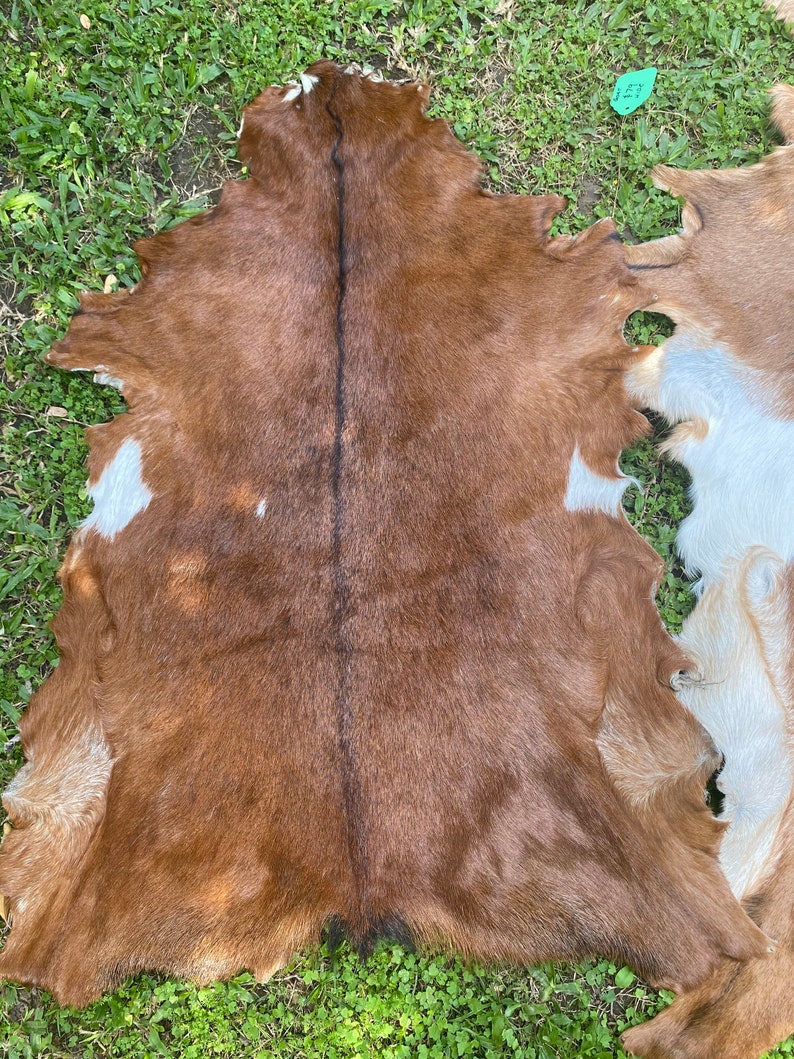 Genuine goat skins | Etsy