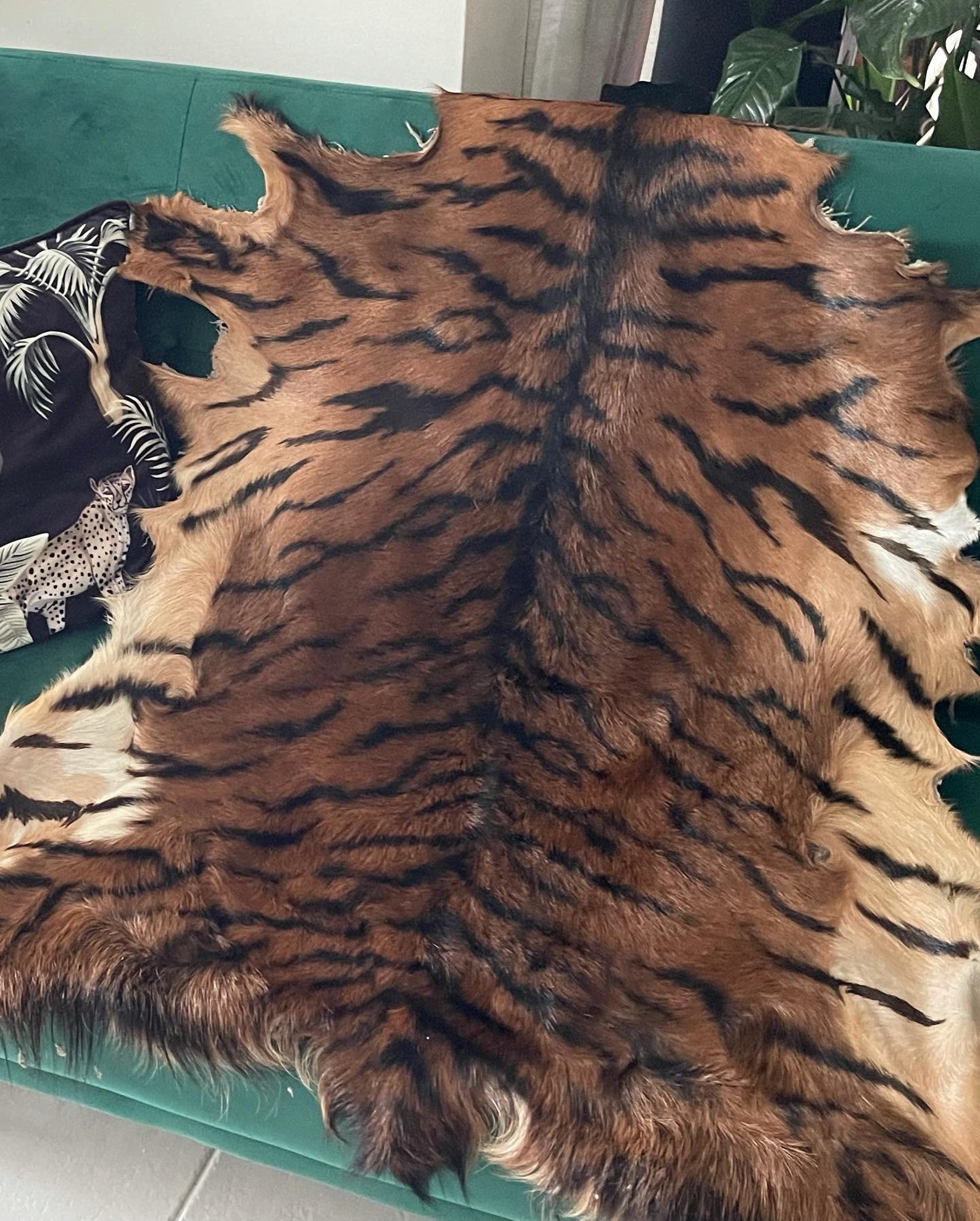 Hand Painted Goat Hide. Tiger Print. - Etsy