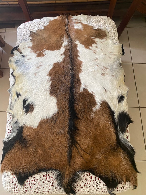 Goat Skin. - Etsy