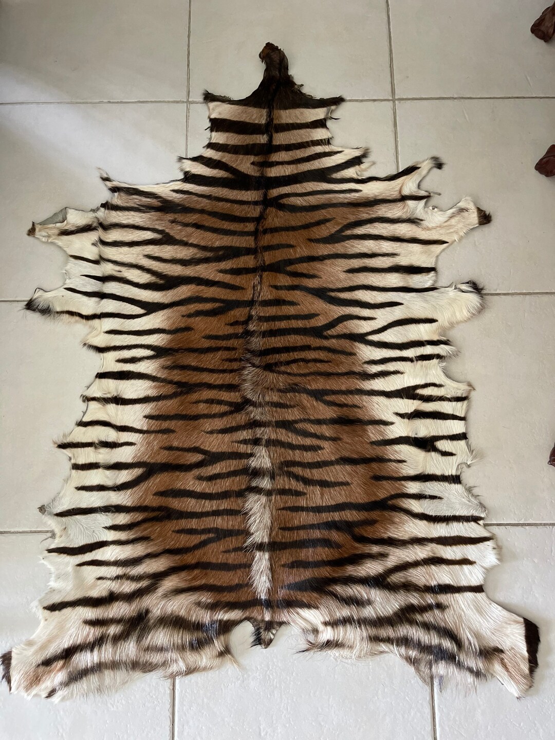 Tiger Print Rug - Etsy